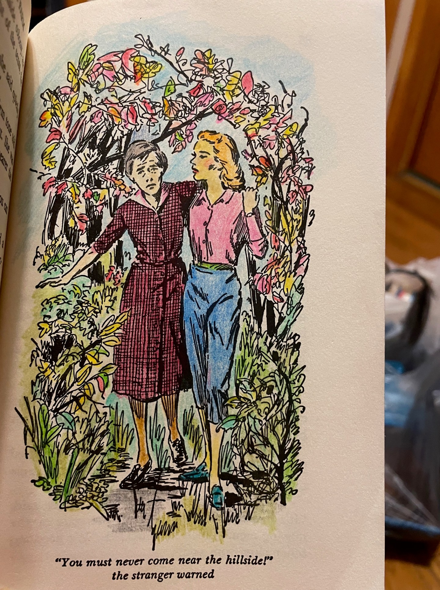 Nancy Drew is 95! History, creation, lasting influence, controversy ...