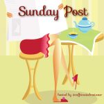 Sunday Bookends: Our son turns 19, injured cat, new mystery book to ...